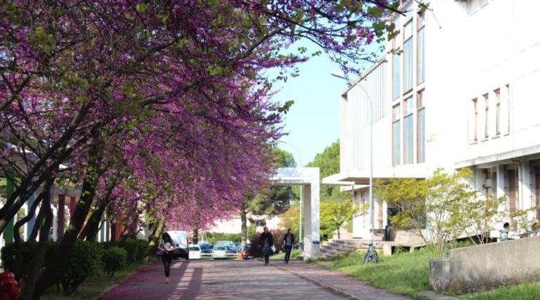 Montpellier : University Campus - BASE