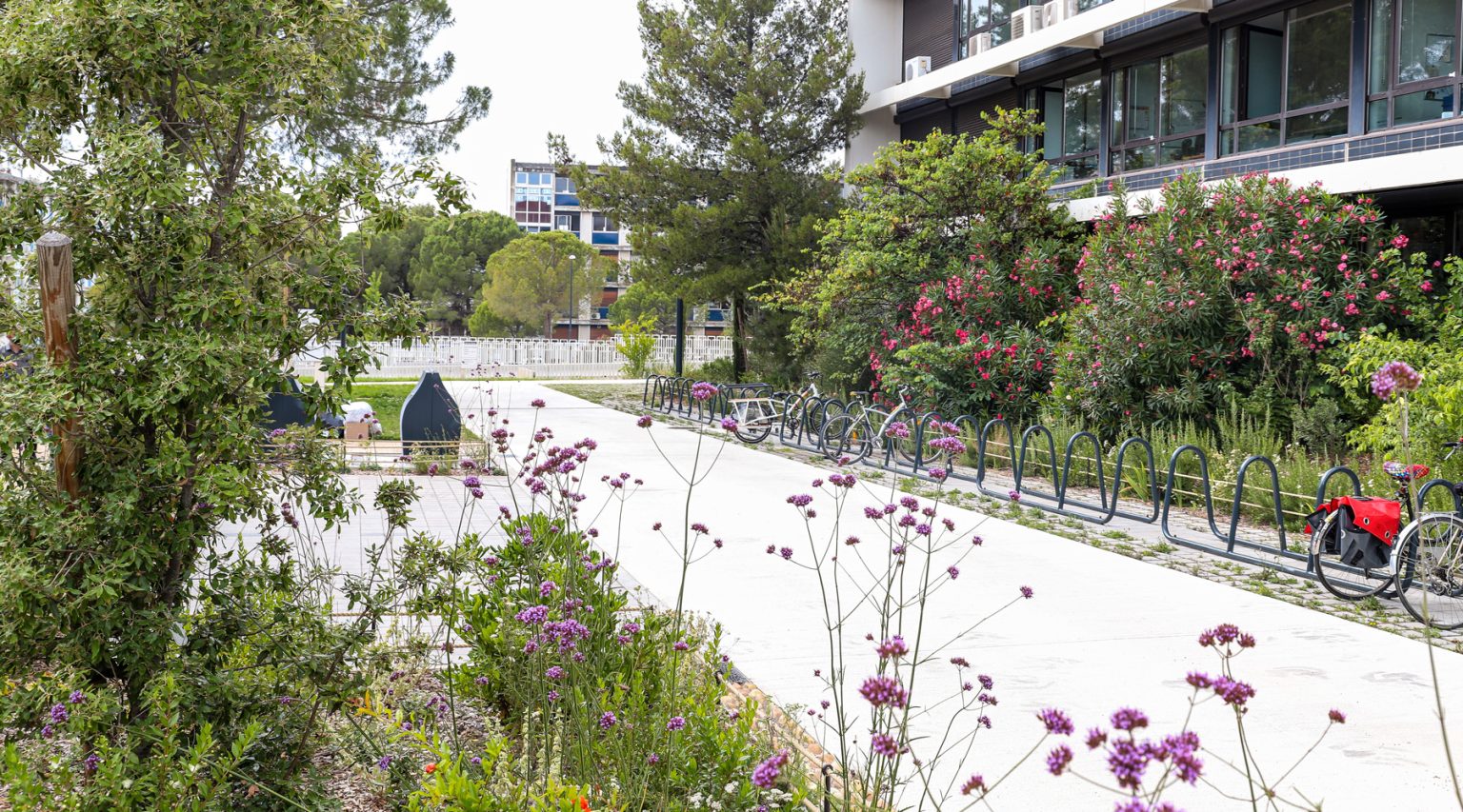 Montpellier : Campus Universitaire - BASE
