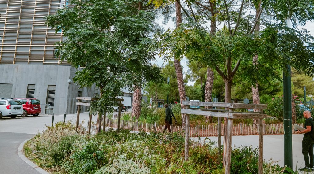 Montpellier : Campus Universitaire - BASE